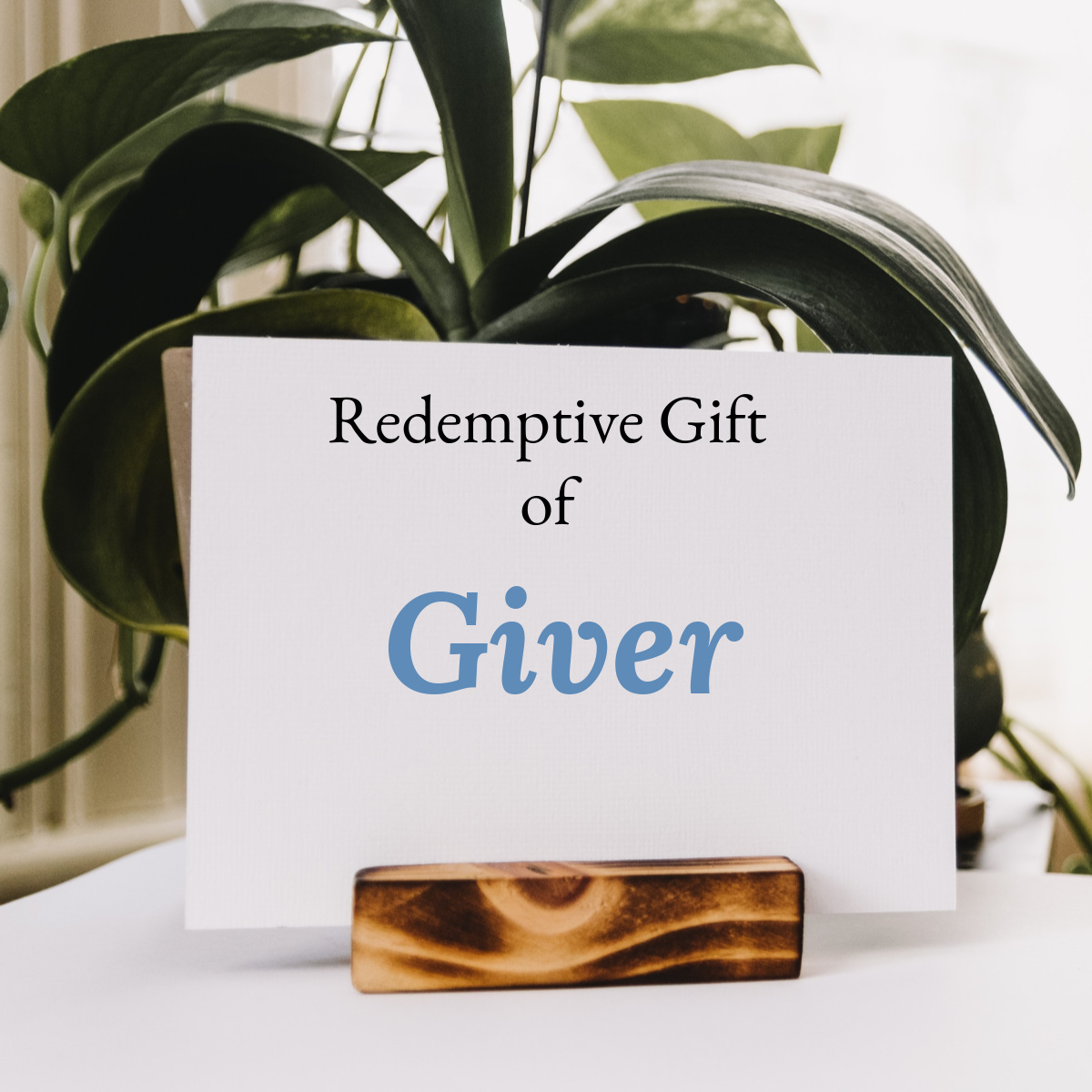 Redemptive Gift of Giver - Checklist - Nancy Bentz
